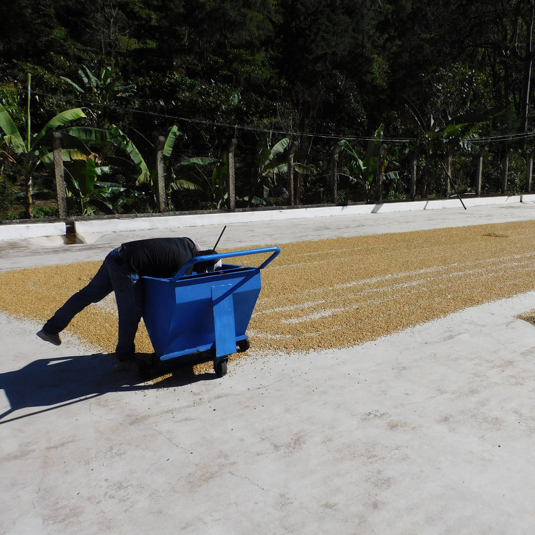 Java Estate Roastery