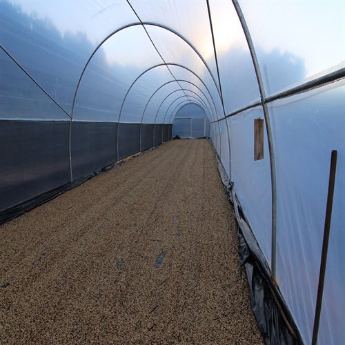 Java Sadayana - 5 lb Bag – Java Estate Roastery